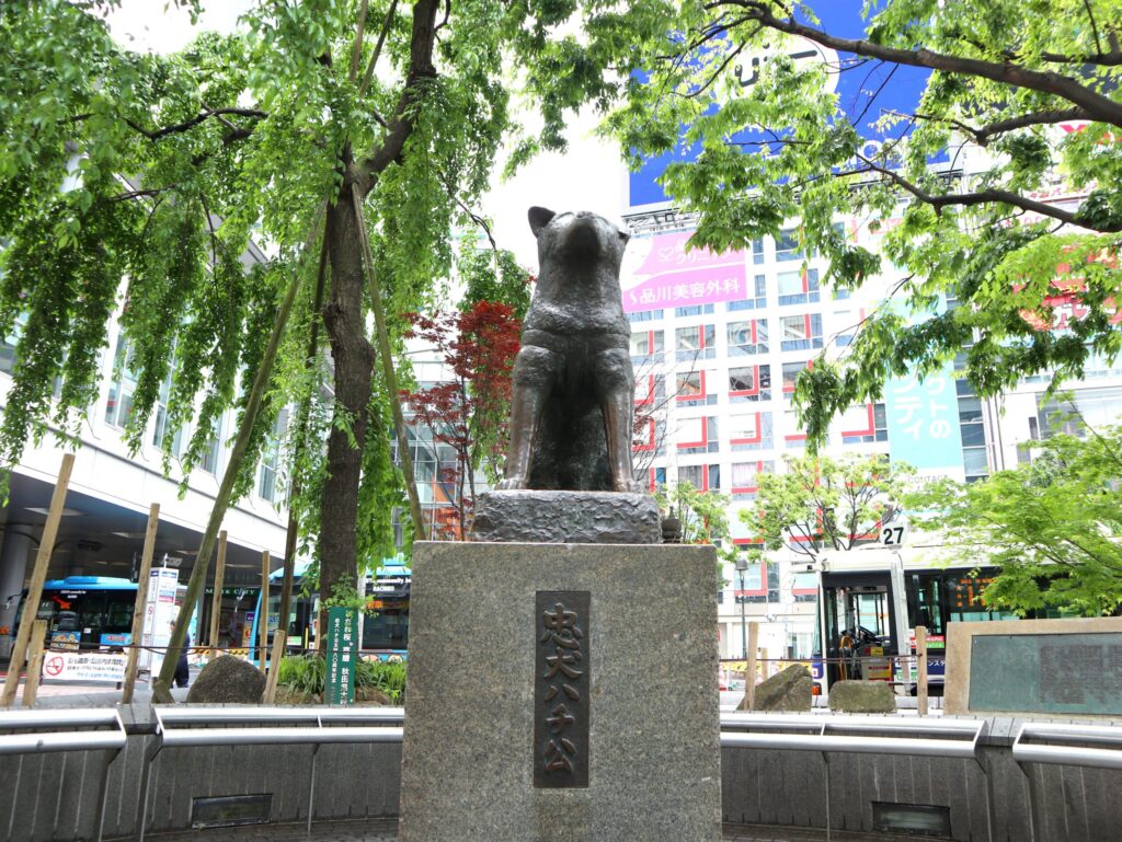 Hachiko Statue Japan – Loyal Dog of Shibuya