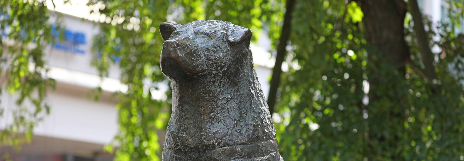 Hachiko Statue Japan – Loyal Dog of Shibuya