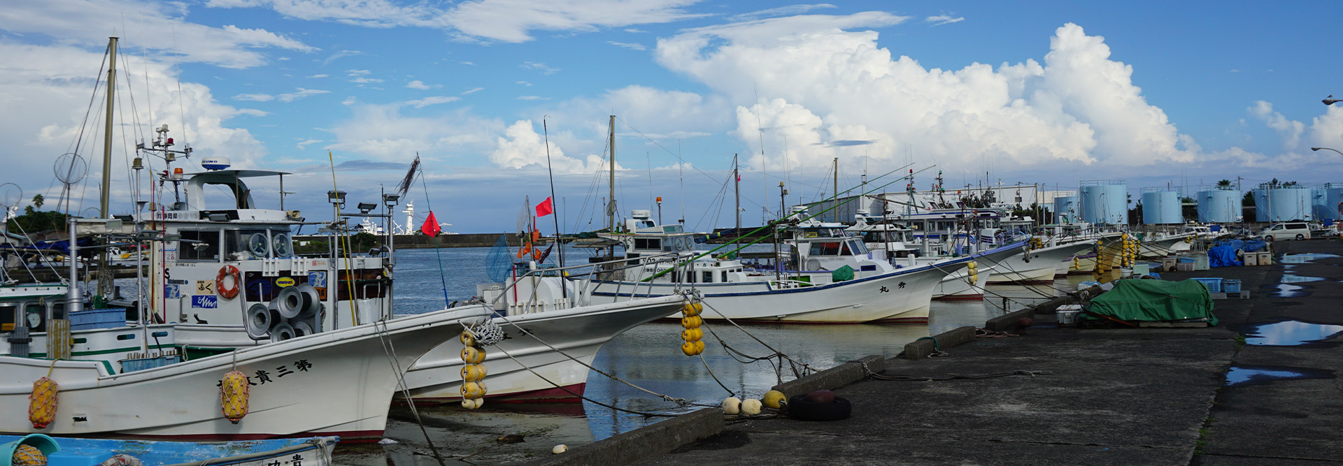 Yaizu Tuna Fishing Port Travel Guide Japan